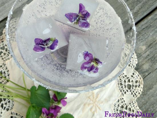 Make your own Violet Soda from your Garden - Grit